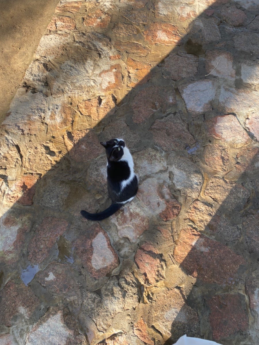 alleeyuh tries to write – Medium