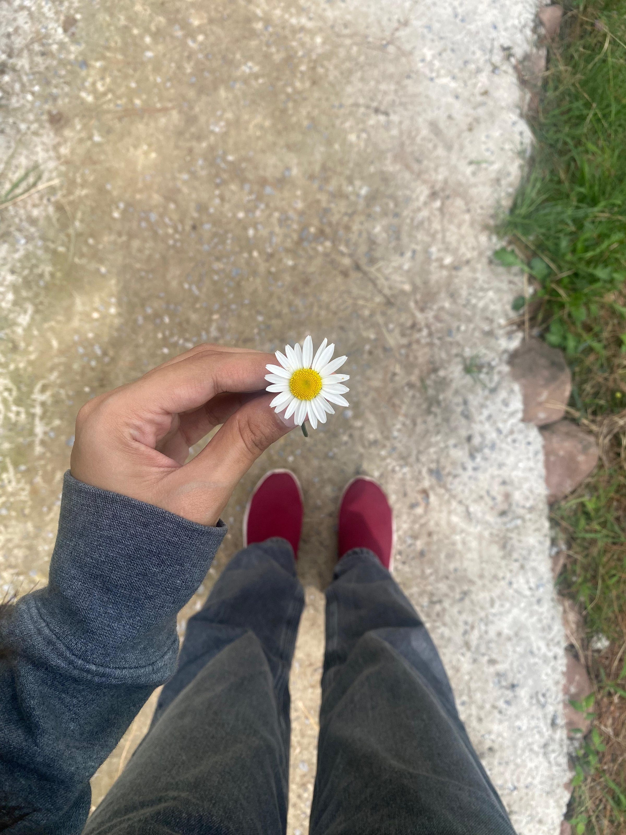 Rameesha Shoaib – Medium