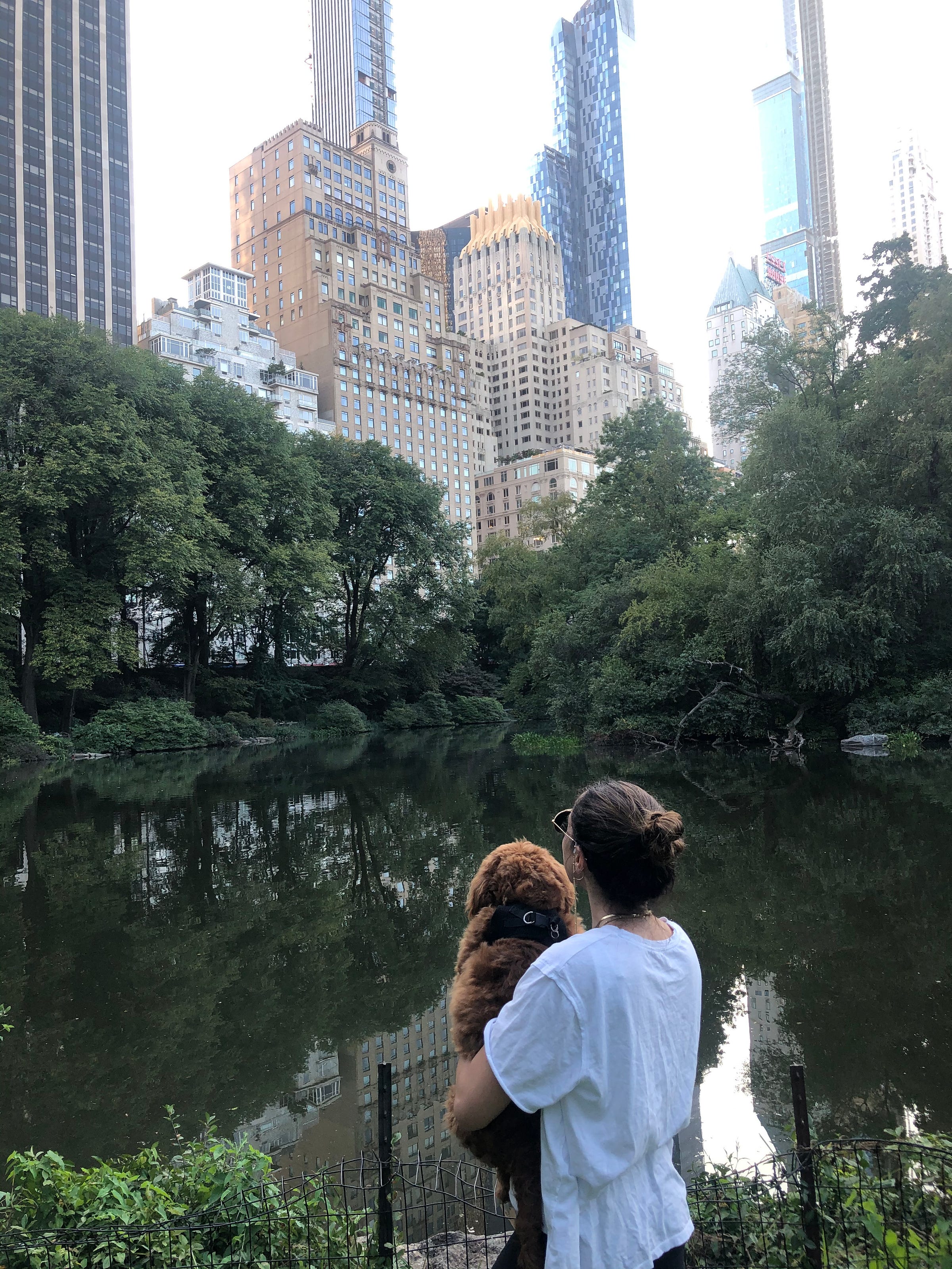 Sarah Fadel – Medium