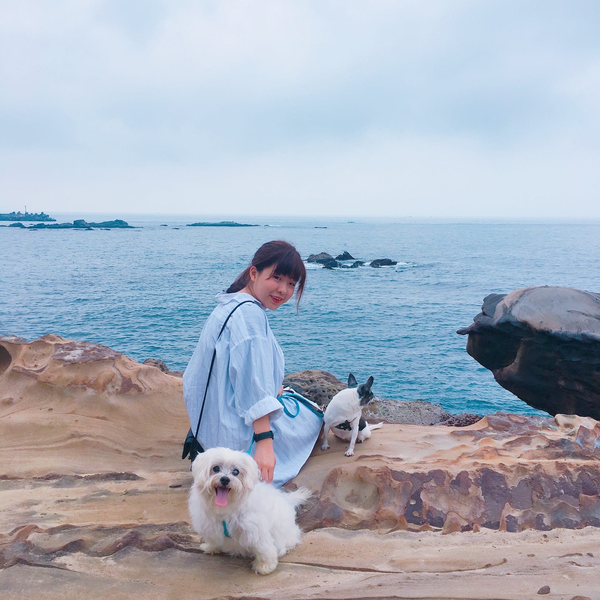 Sandy Luo – Medium