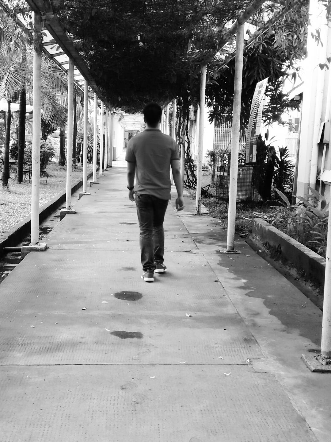 Jonas Flores – Medium