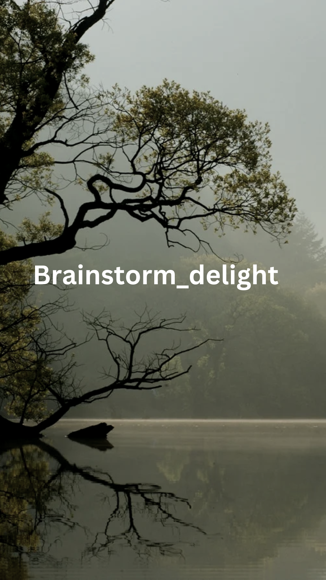 Brainstorm_delight – Medium