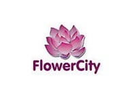 Flower City – Medium