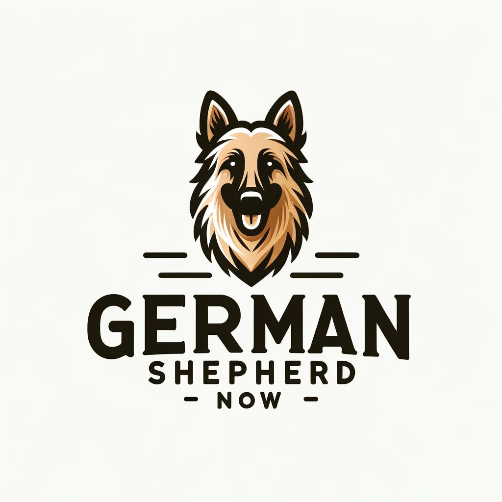 German Shepherd Now – Medium