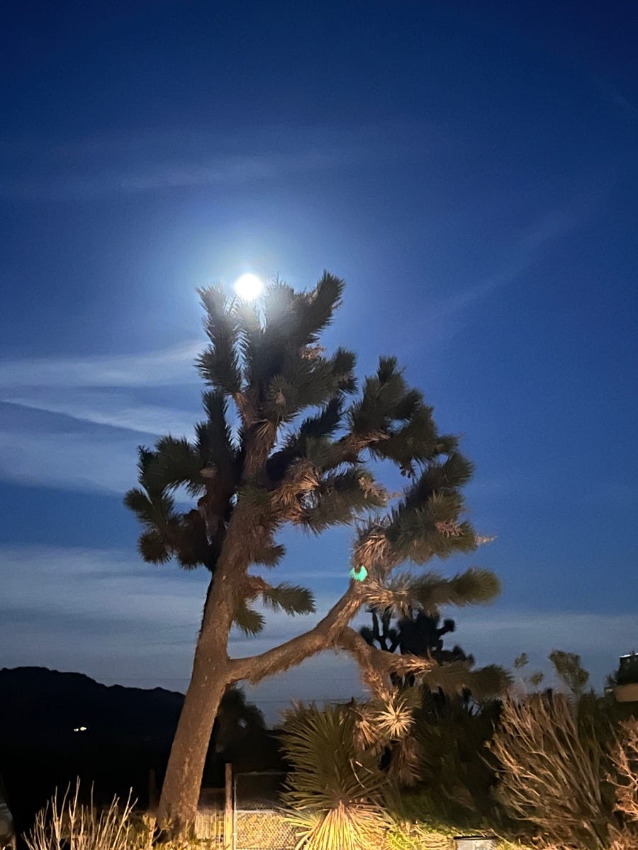 Cindi Anderson on Medium curated some lists