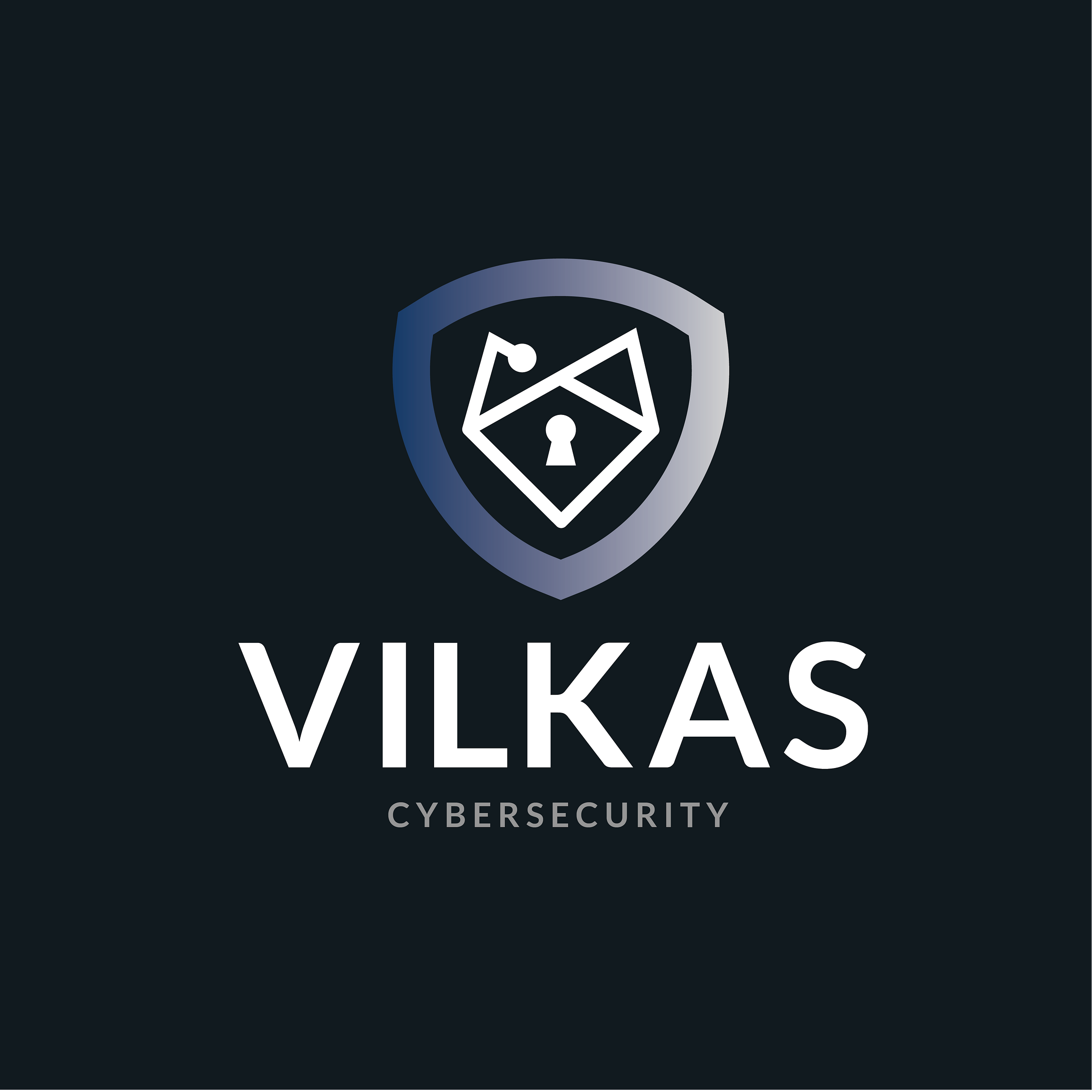 Vilkas Cybersecurity – Medium