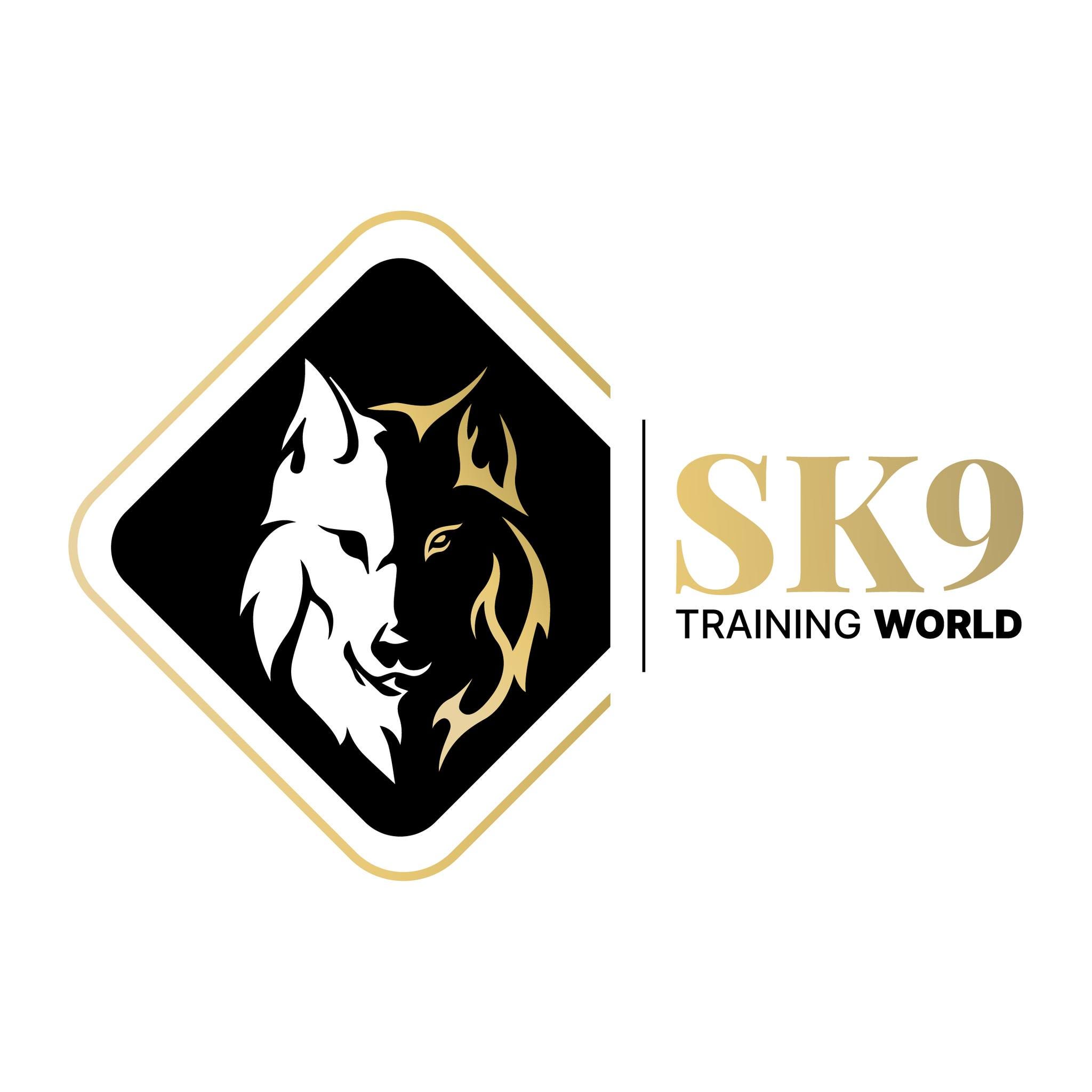 SK9 Training World – Medium