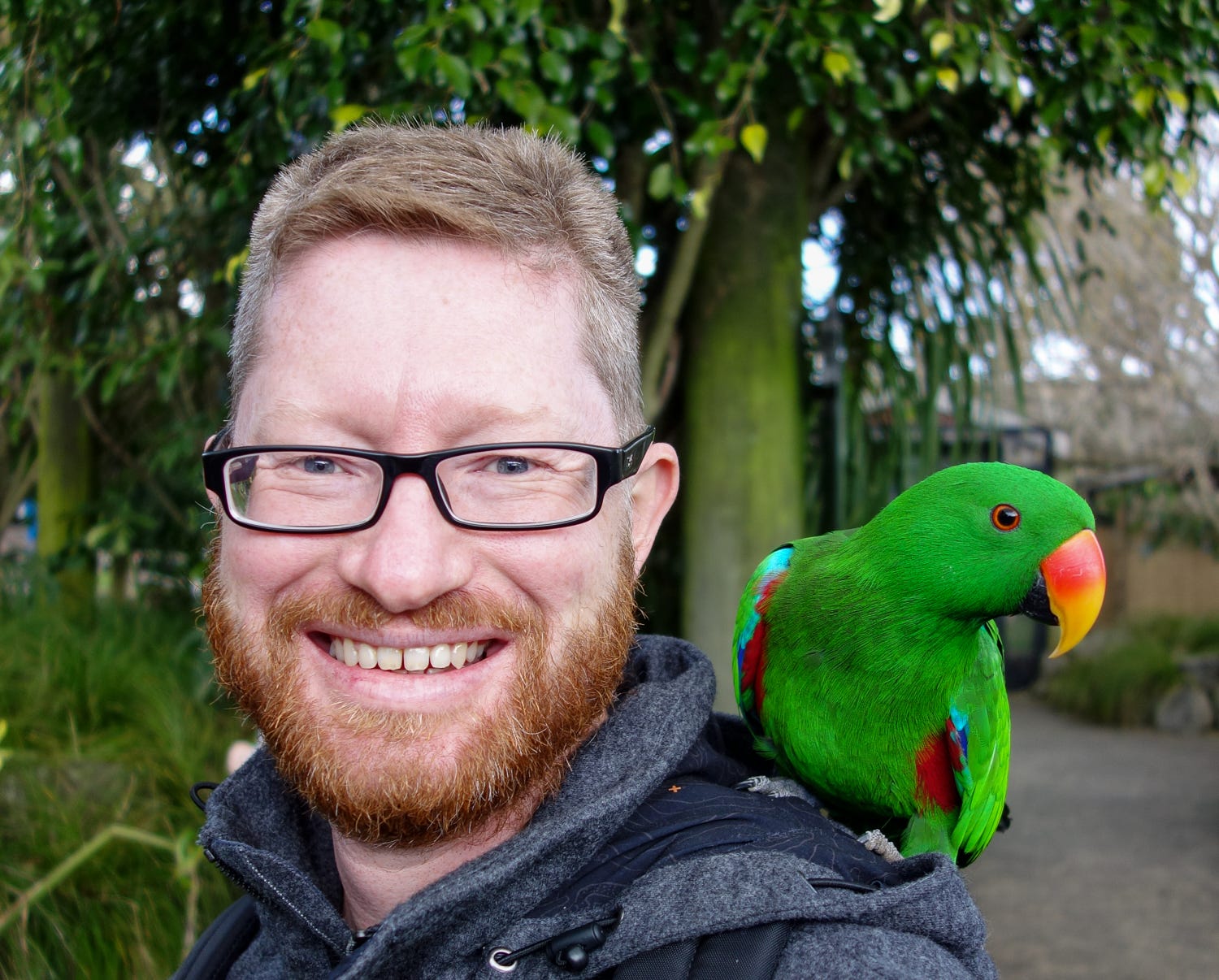 Paul Rowe – Medium