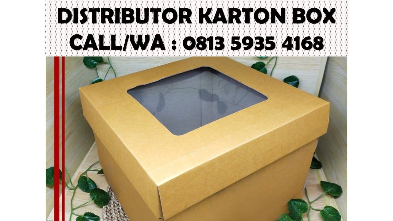 Distributorkartonbox – Medium