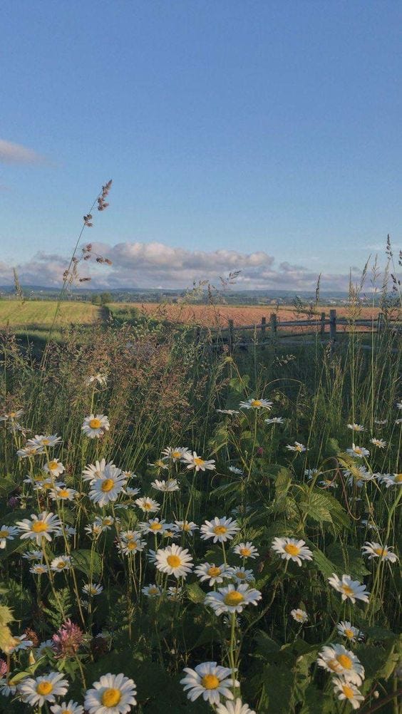 aaxn._.jjr – Medium