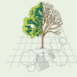 Naturally Trees – Medium