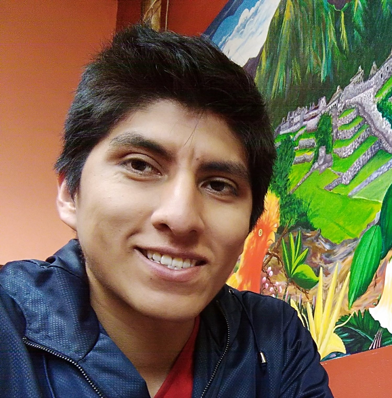 Cristian Castro Del Carpio on Medium curated some lists