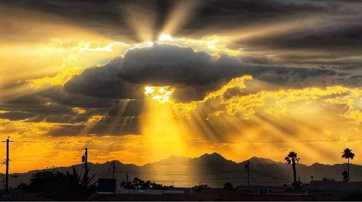 Bruno amaral – Medium