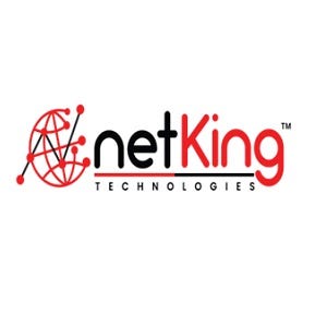 About – NetKing Web Services Pvt. Ltd. – Medium