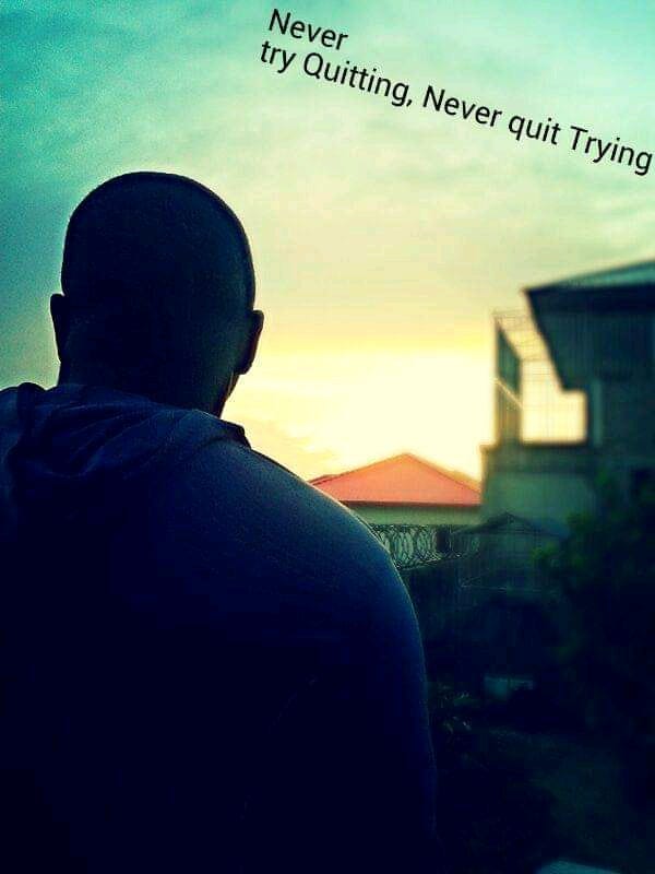 Lenz Pavion – Medium