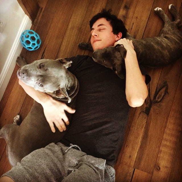 Sam Feinberg – Medium