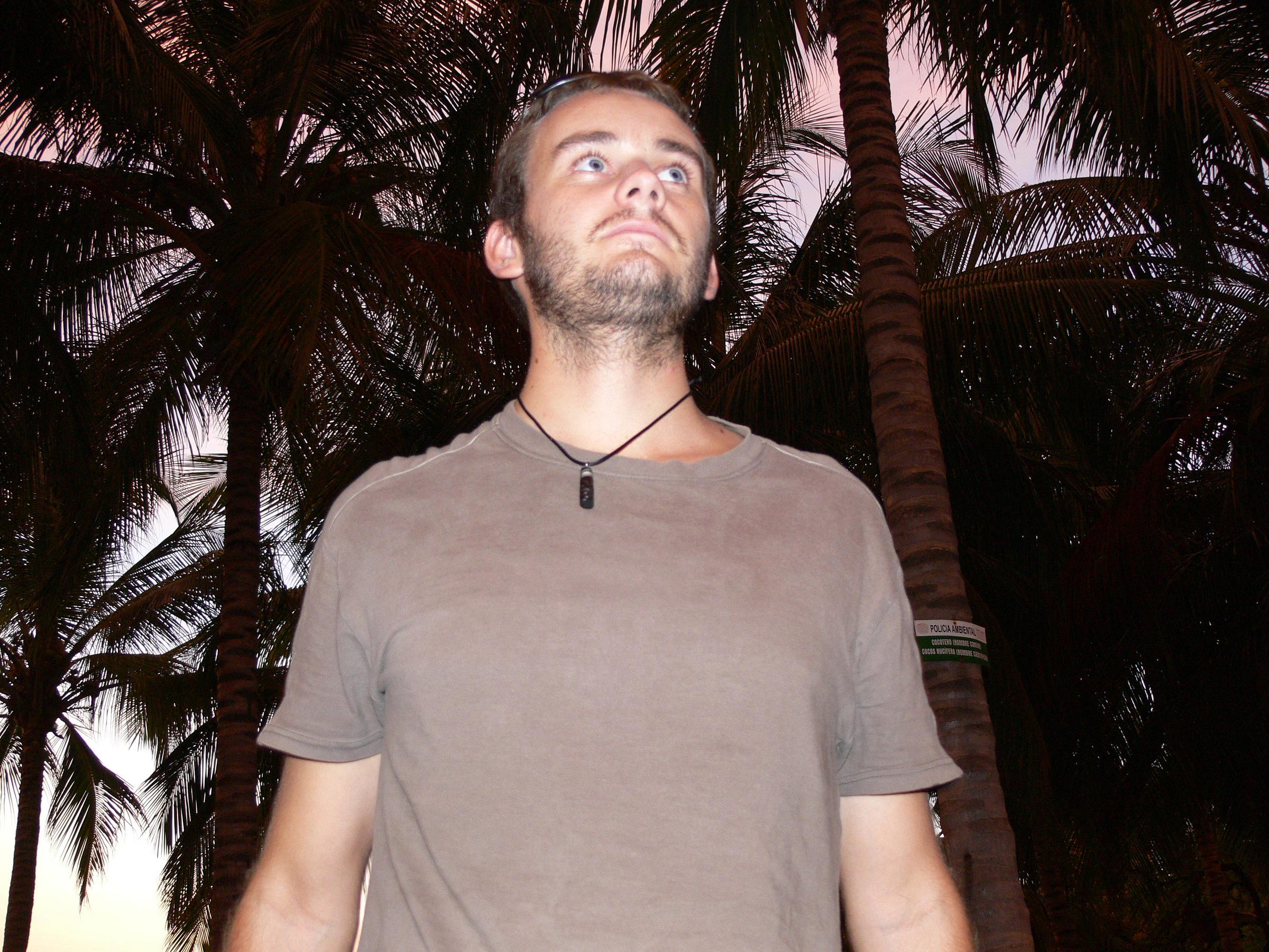 Gavin Wood – Medium