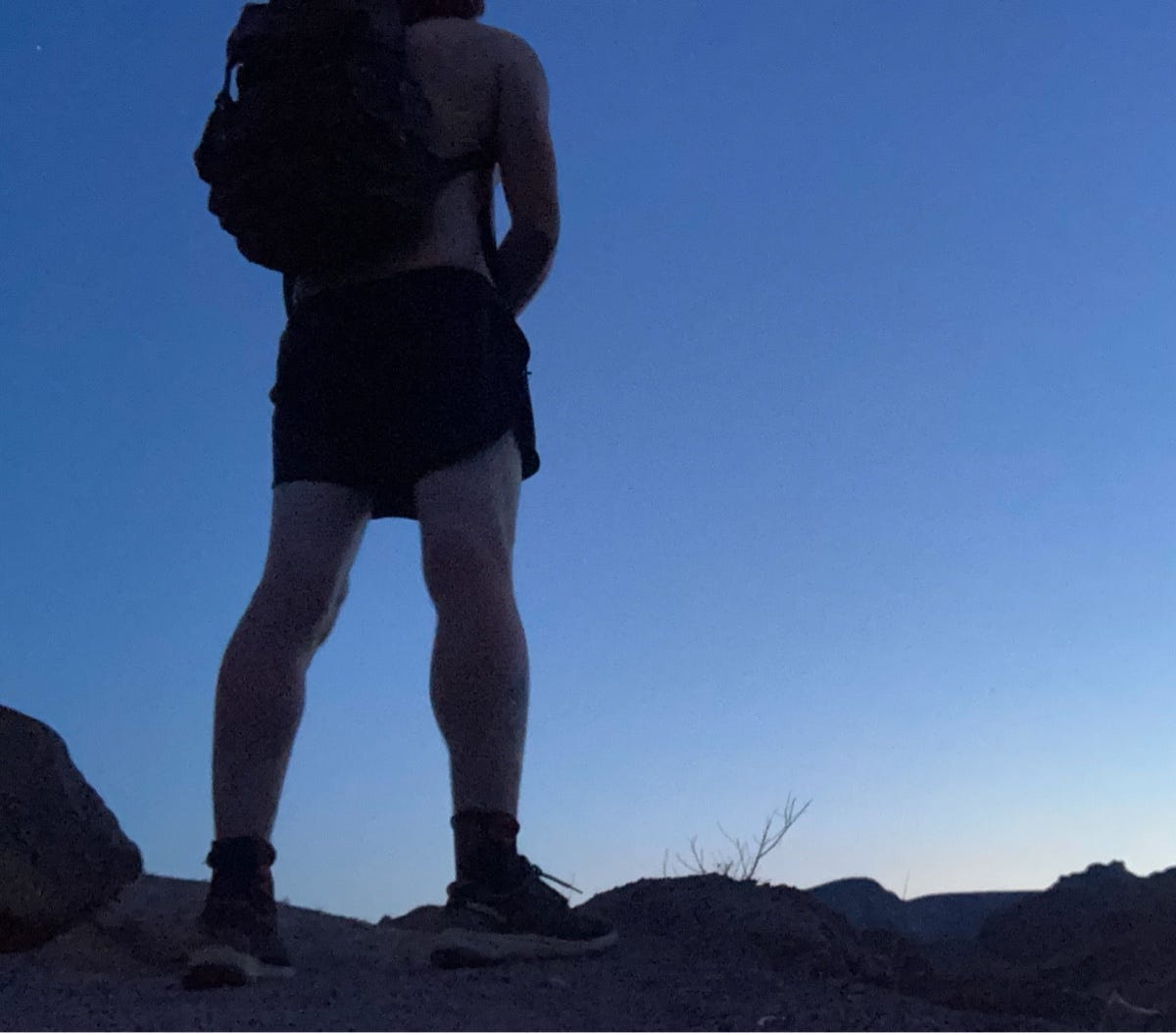 Nicholas Bagley – Medium