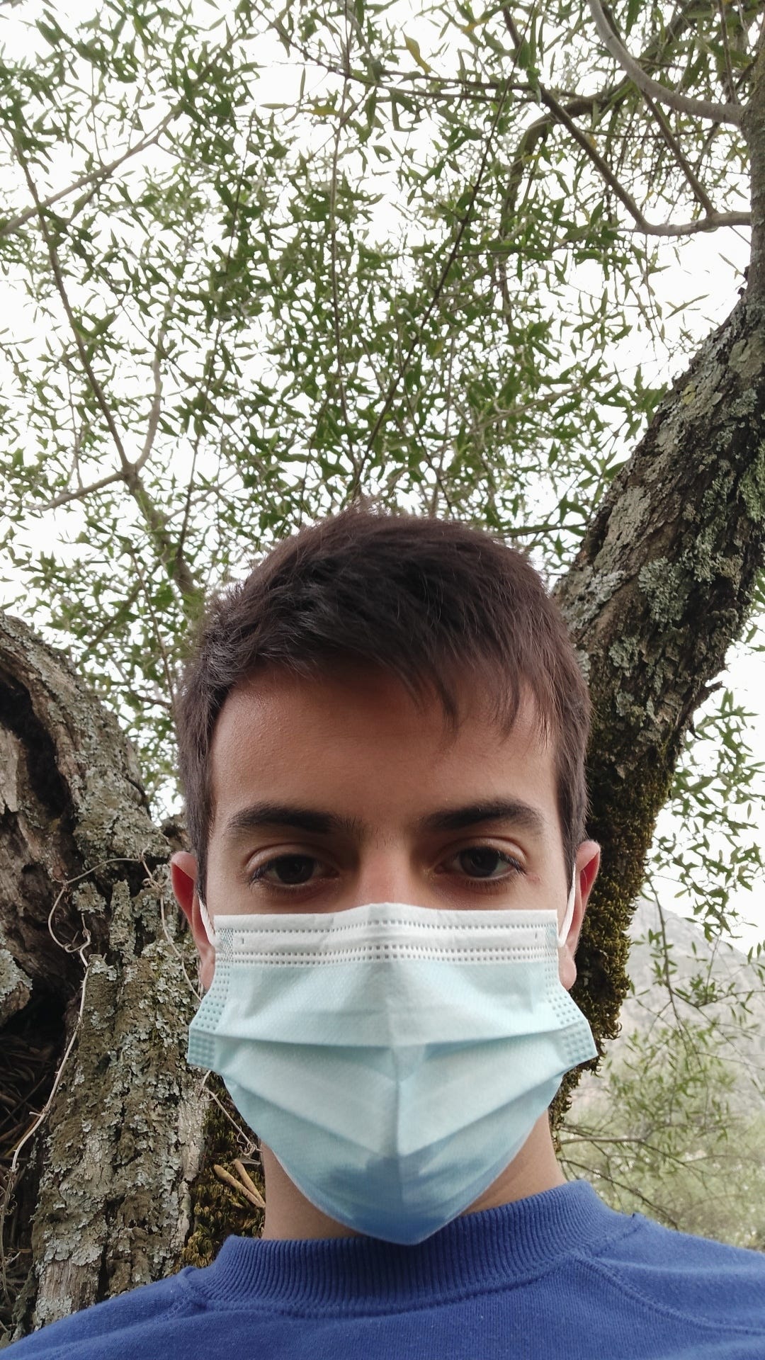 Alberto Roldán – Medium