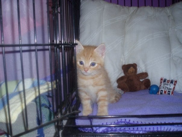 Cindy Huffman – Medium