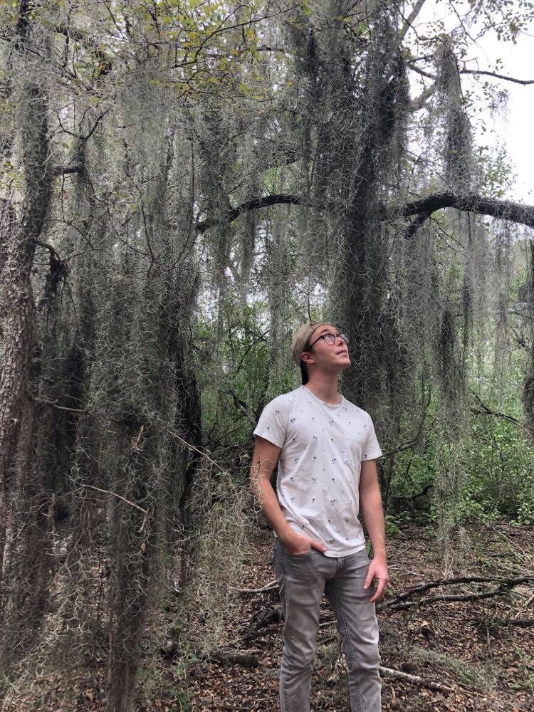 Anthony DeFeo – Medium