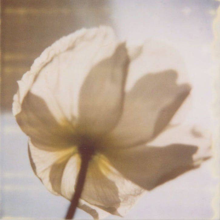 jo on Medium curated some lists