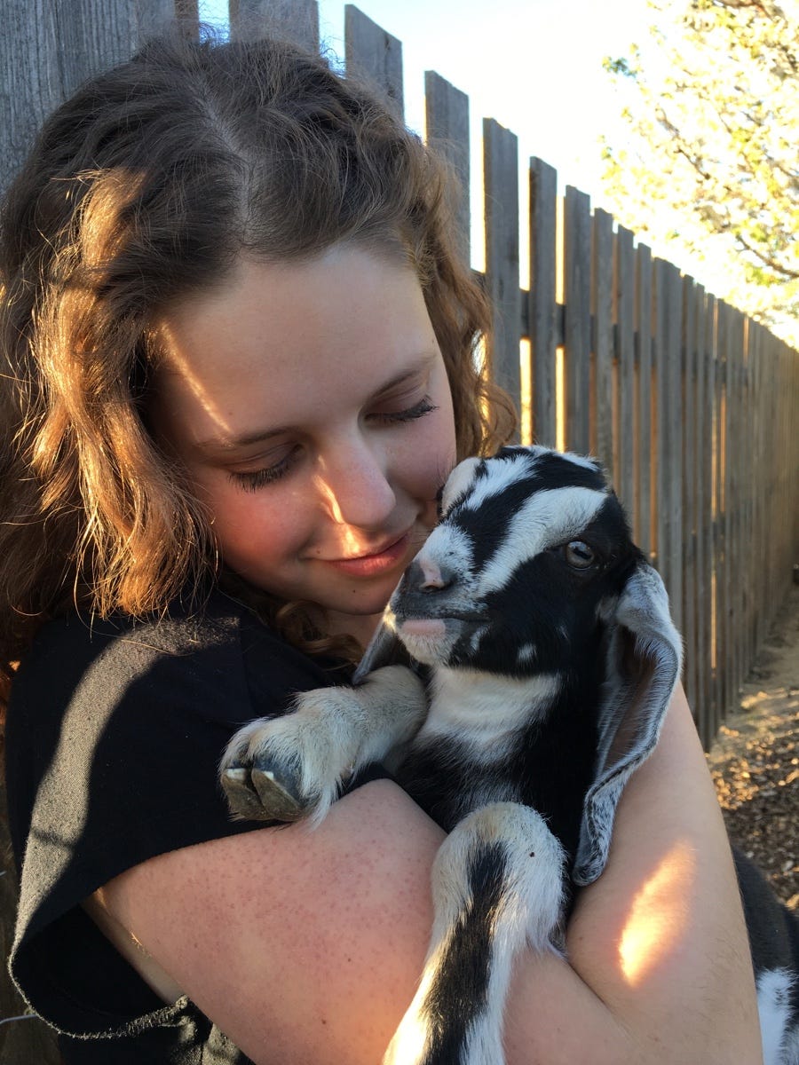 Fanula Hartung – Medium