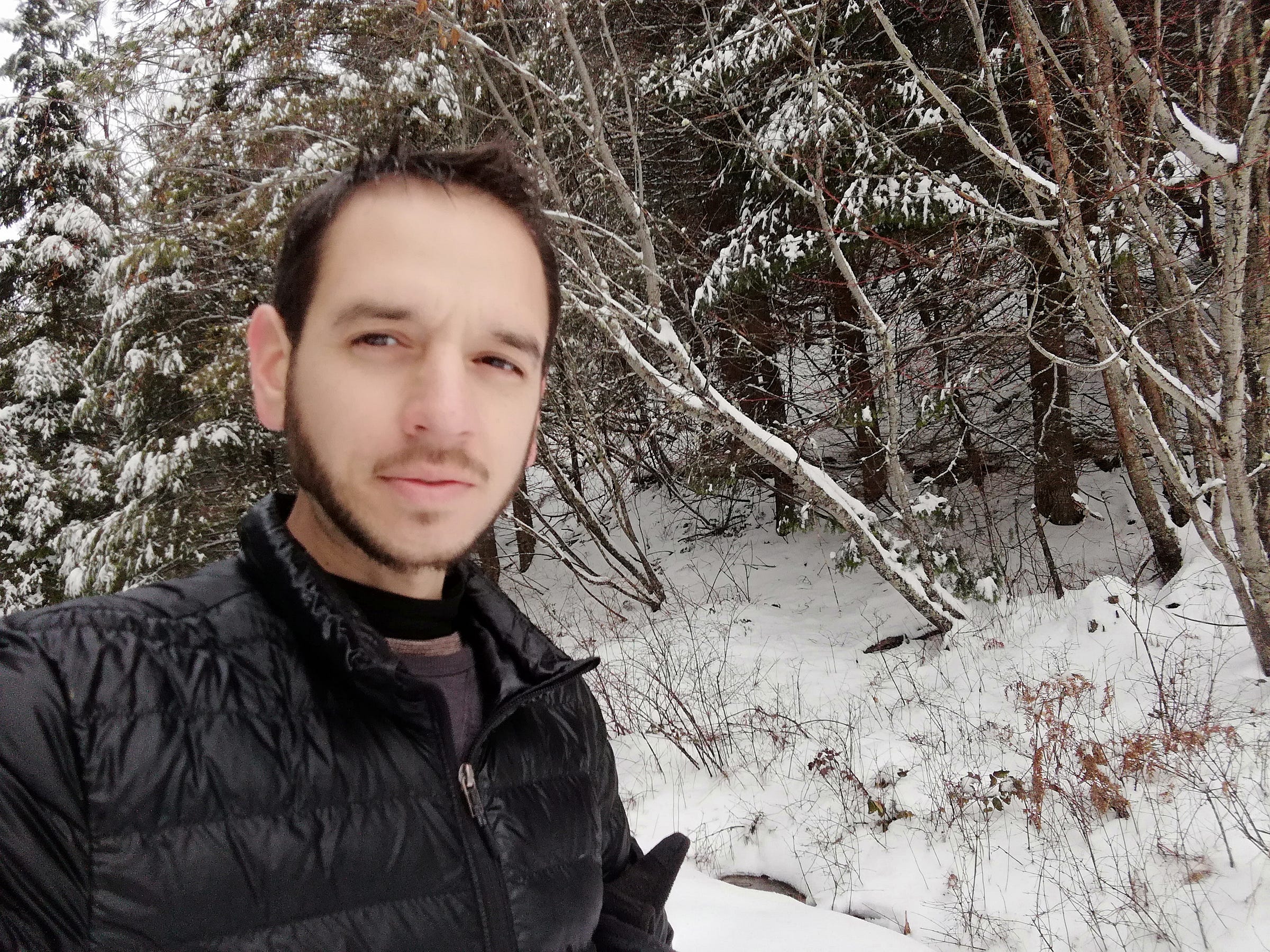 Andrew Joseph Mosman – Medium