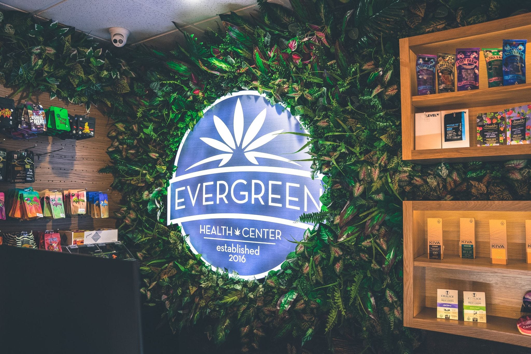 Evergreen OC – Medium