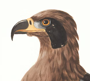 Miloslav Nosek – Medium