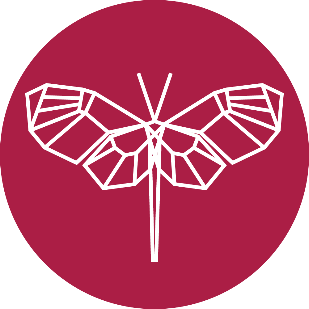 Glasswing Team – Medium