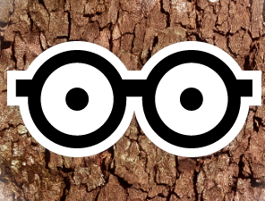 Cubicle Diary on Medium curated some lists