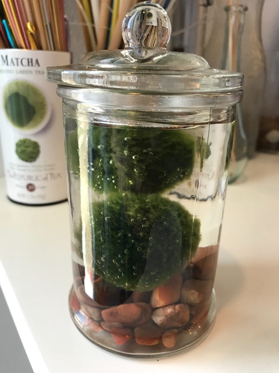 About – Charlie – Medium