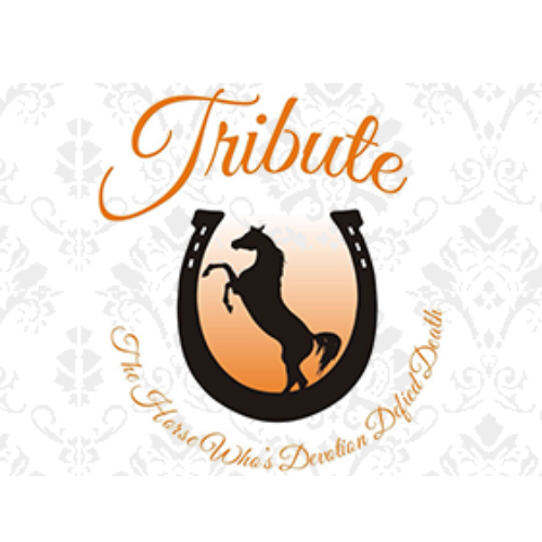 Tribute Restaurant – Medium