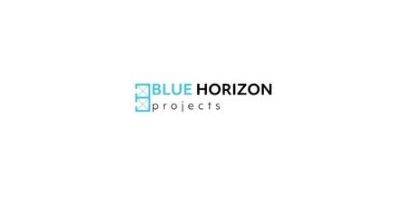 Blue Horizon Projects – Medium
