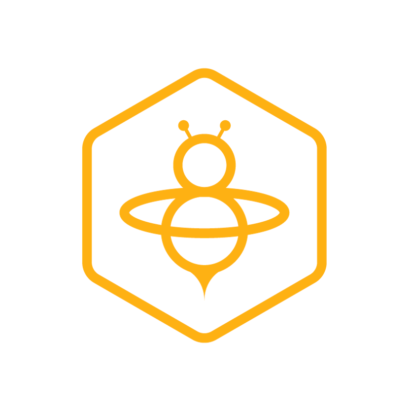 About – Orange Bees – Medium