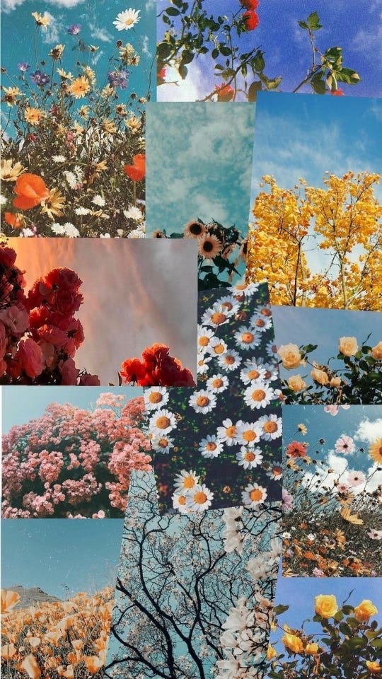 Aiman Zahra – Medium