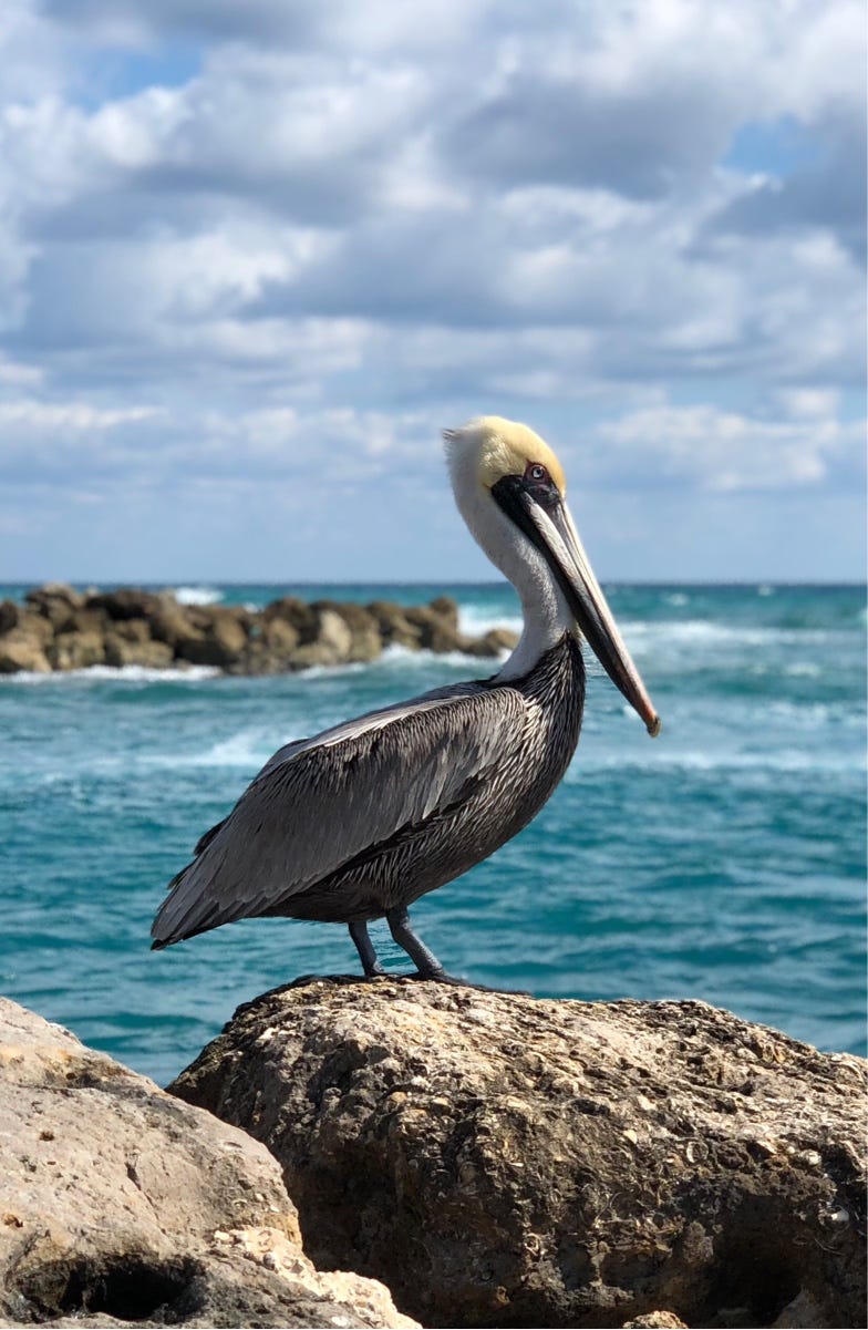 Quinn Benson – Medium