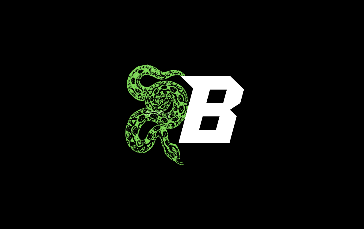 Brain Boa – Medium