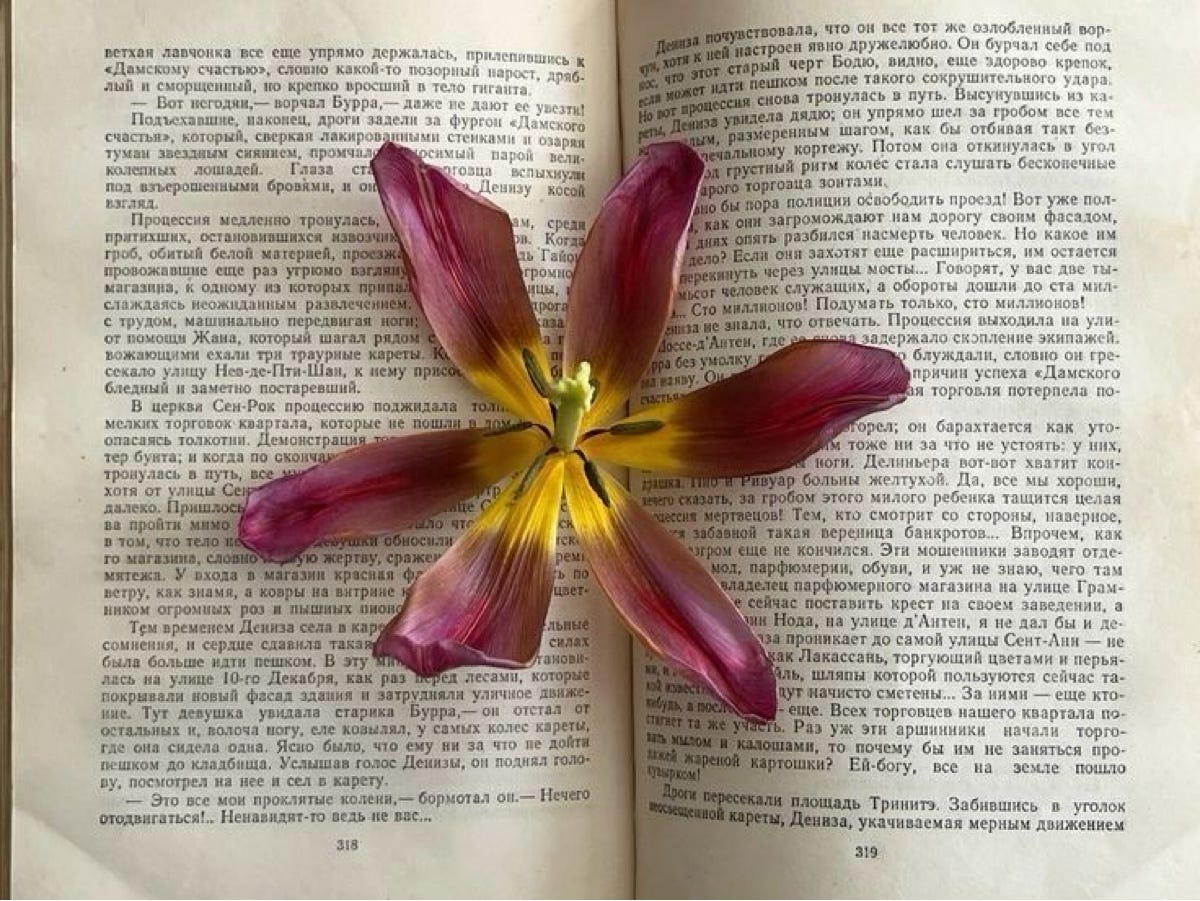 ayela’s drafts – Medium