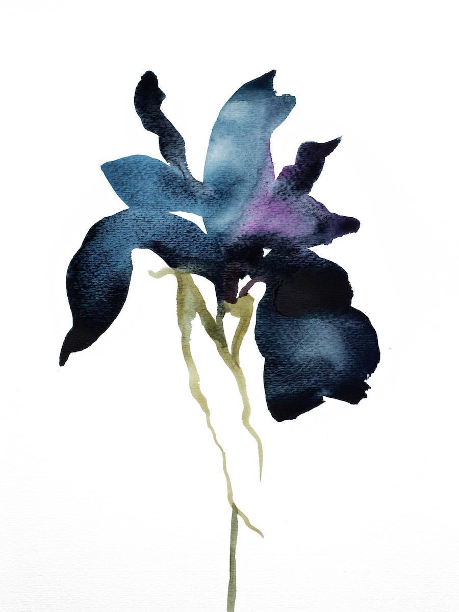 Elizabeth Becker – Medium