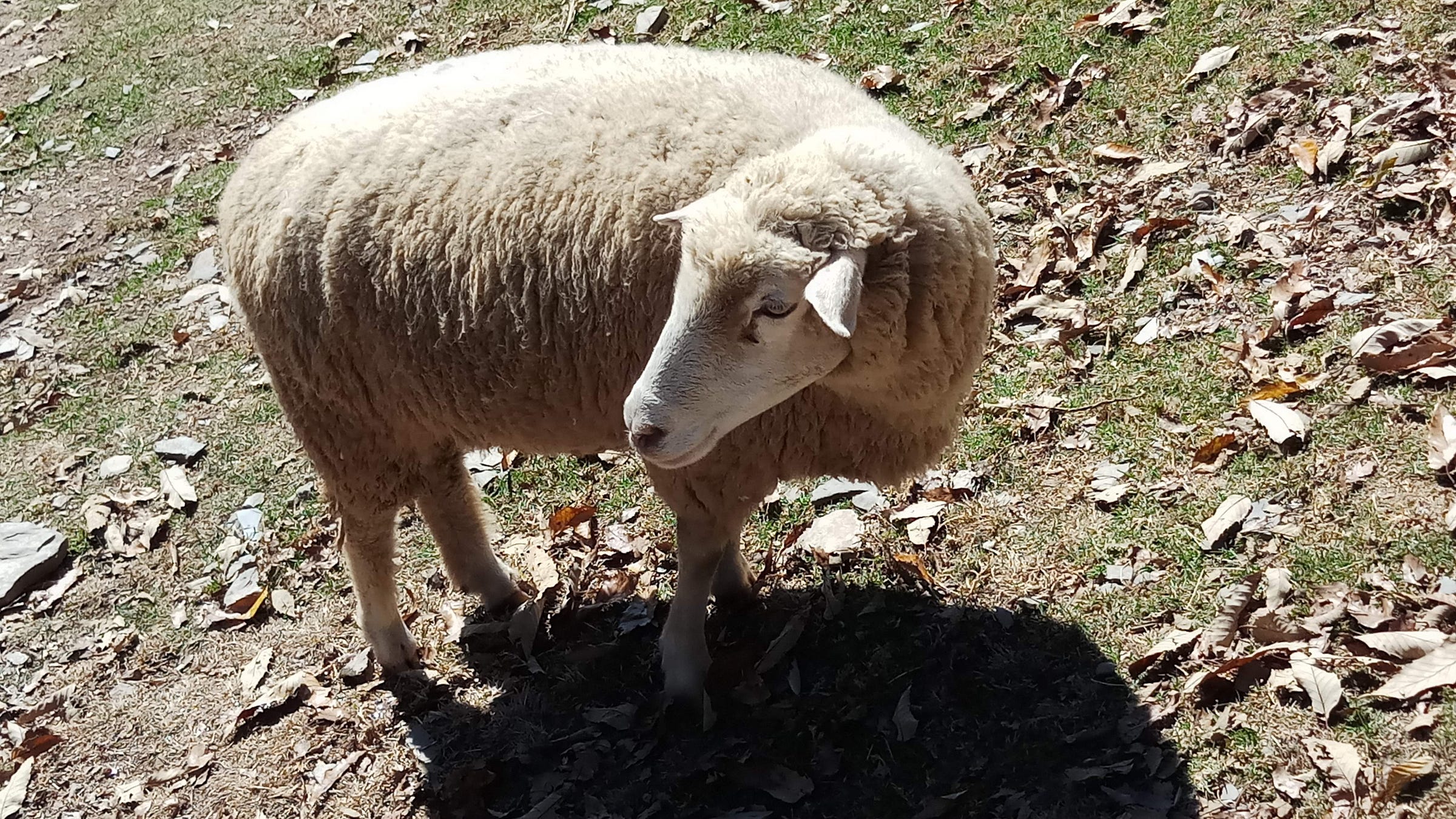 YC Lin on Medium curated some lists