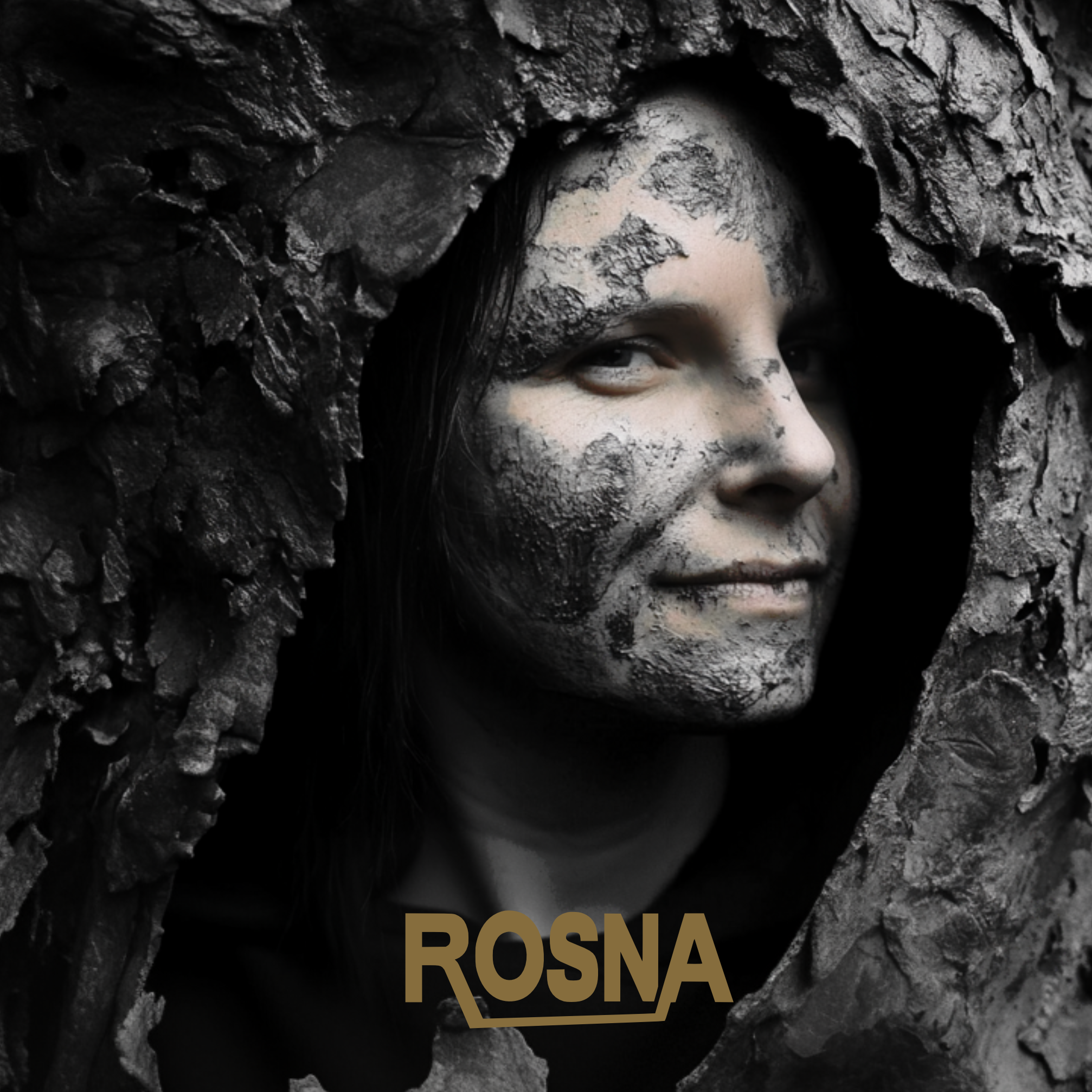 Rosna on Medium curated some lists