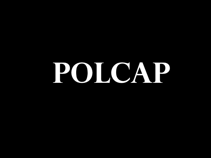 About – Political Capital – Medium