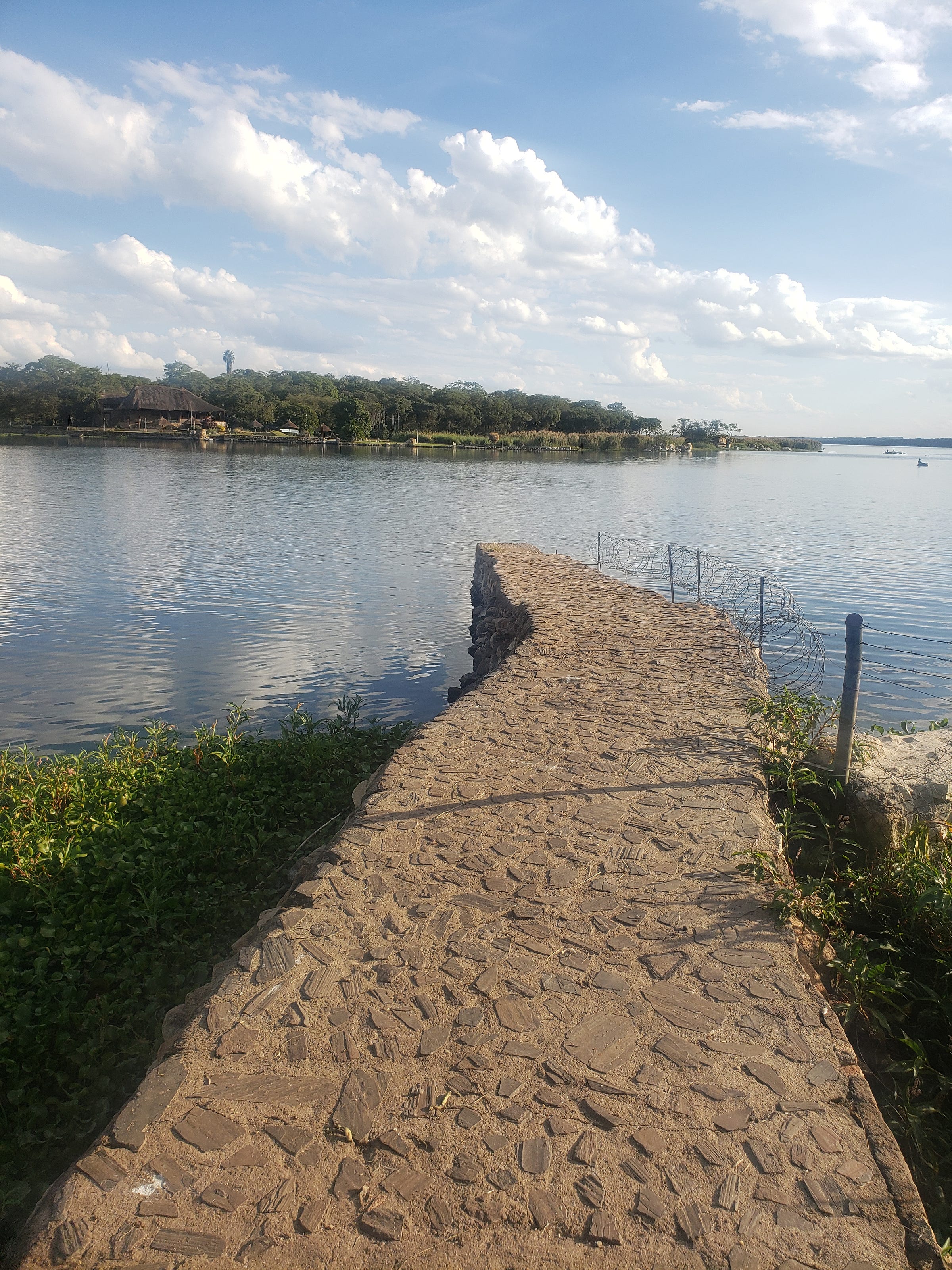 Melusi shoko – Medium