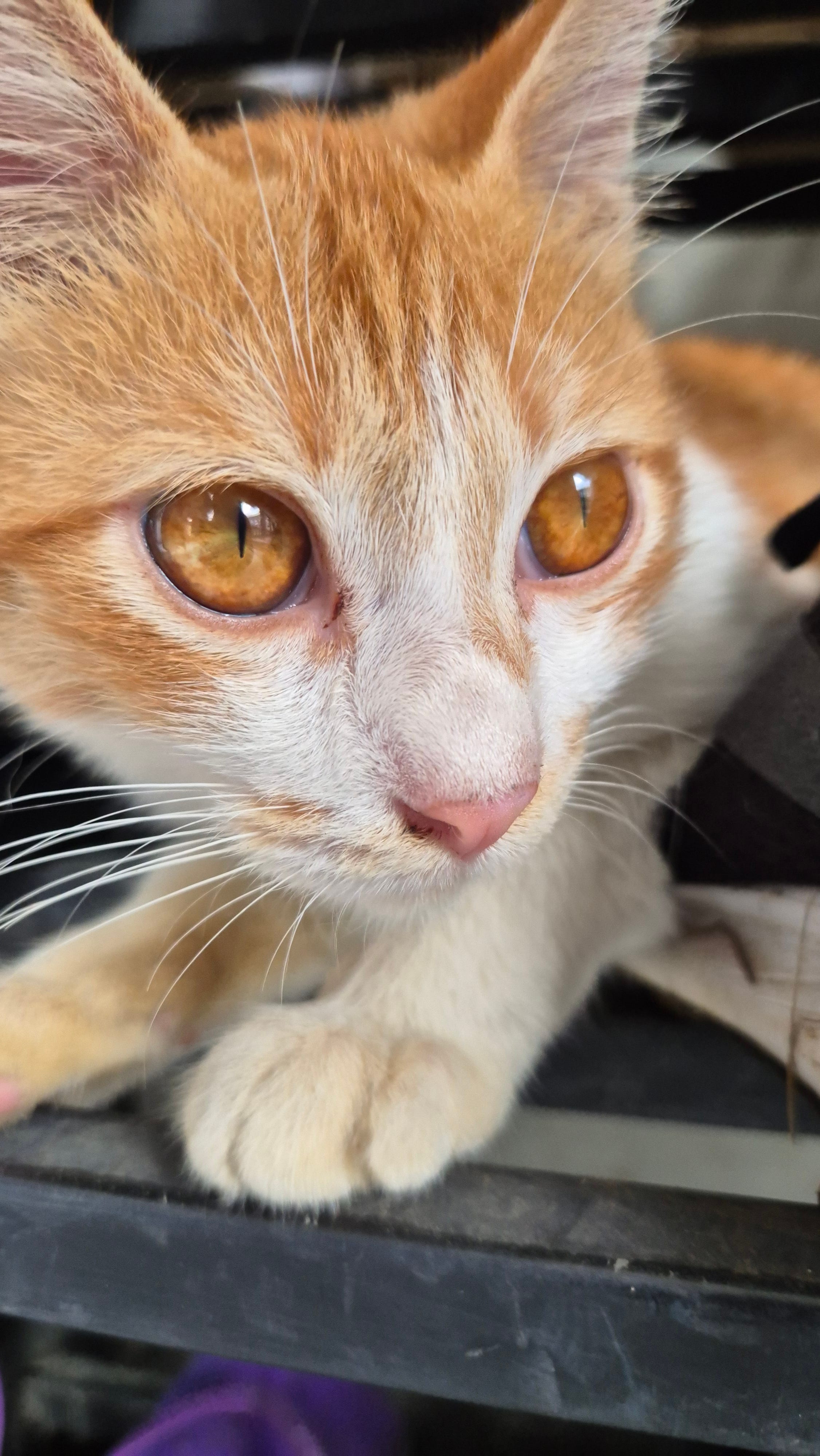 naya 🦦 – Medium