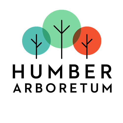 About – Humber Arboretum – Medium