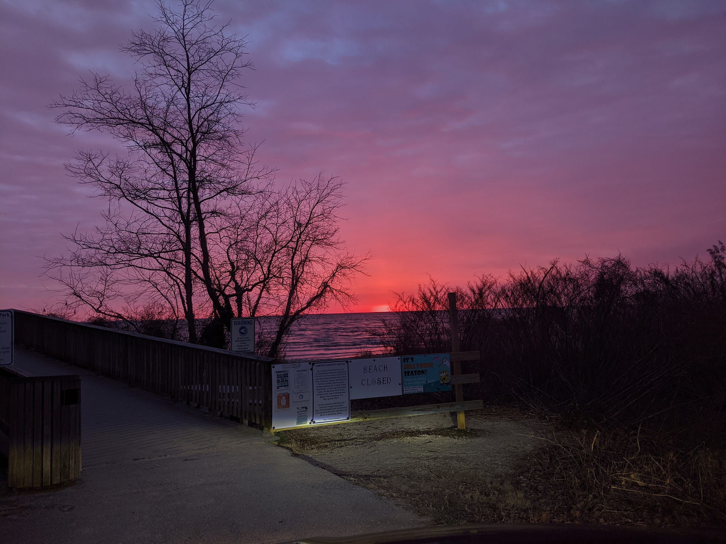 Janette Wysocki – Medium