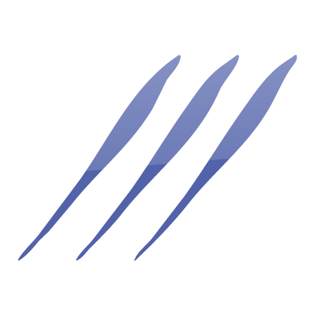 Shark Finesse – Medium