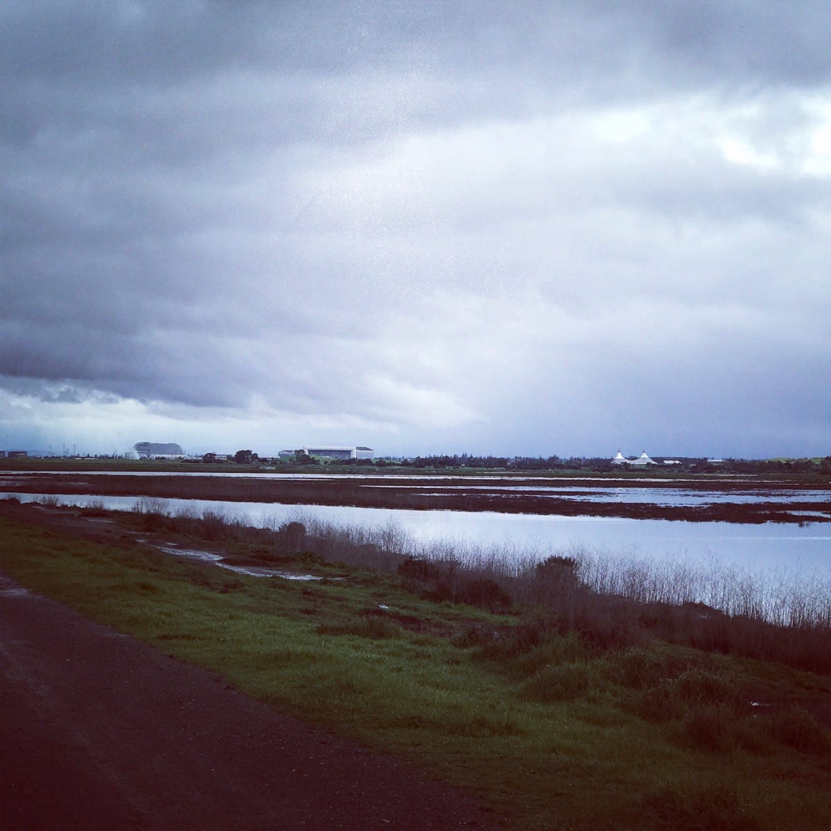 Anonymous Jane – Medium